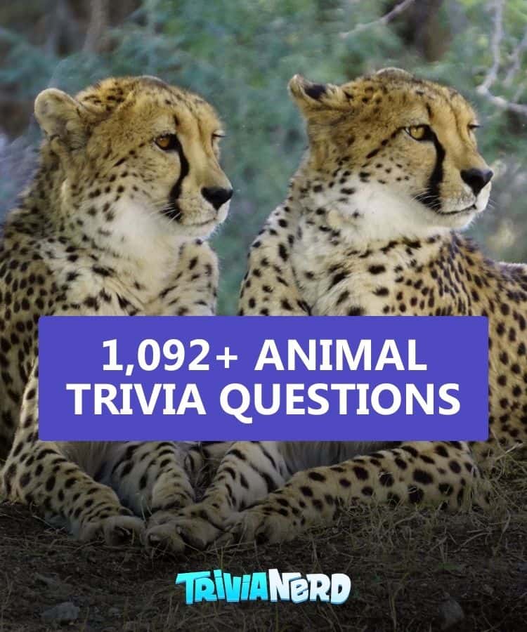 97 Animal Trivia Questions And Answers Trivia fyi